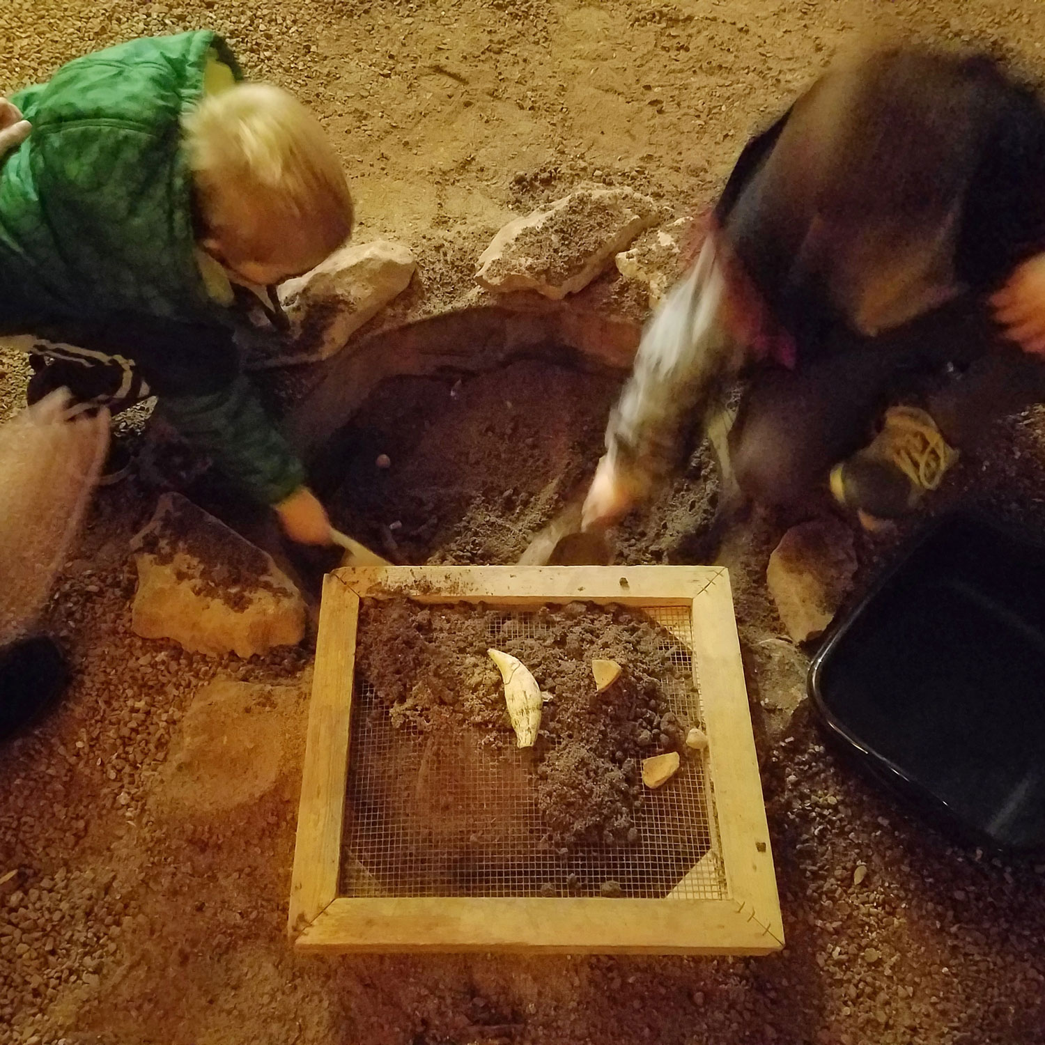 Fantastic Caverns Adventure Tour offers enrichment opportunities - Cave ...