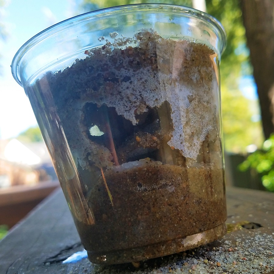 Create Your Own Cave in a Cup and observe how water flows through these ...