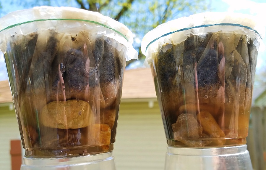 Create Your Own Aquifer in a Cup to observe how water is stored ...